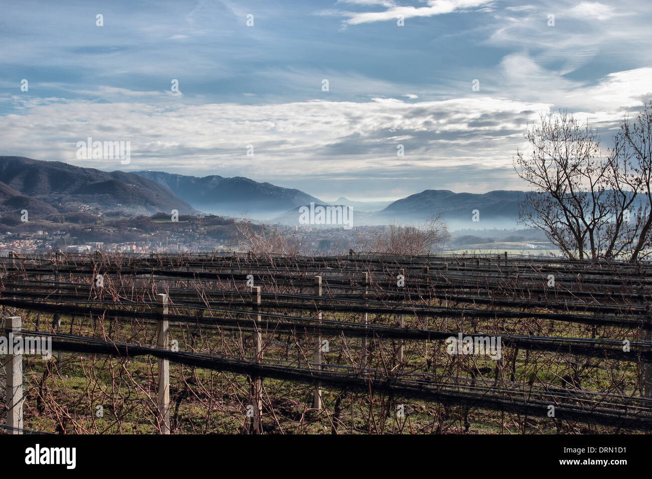 Chiasso switzerland immagini e fotografie stock ad alta risoluzione - Alamy