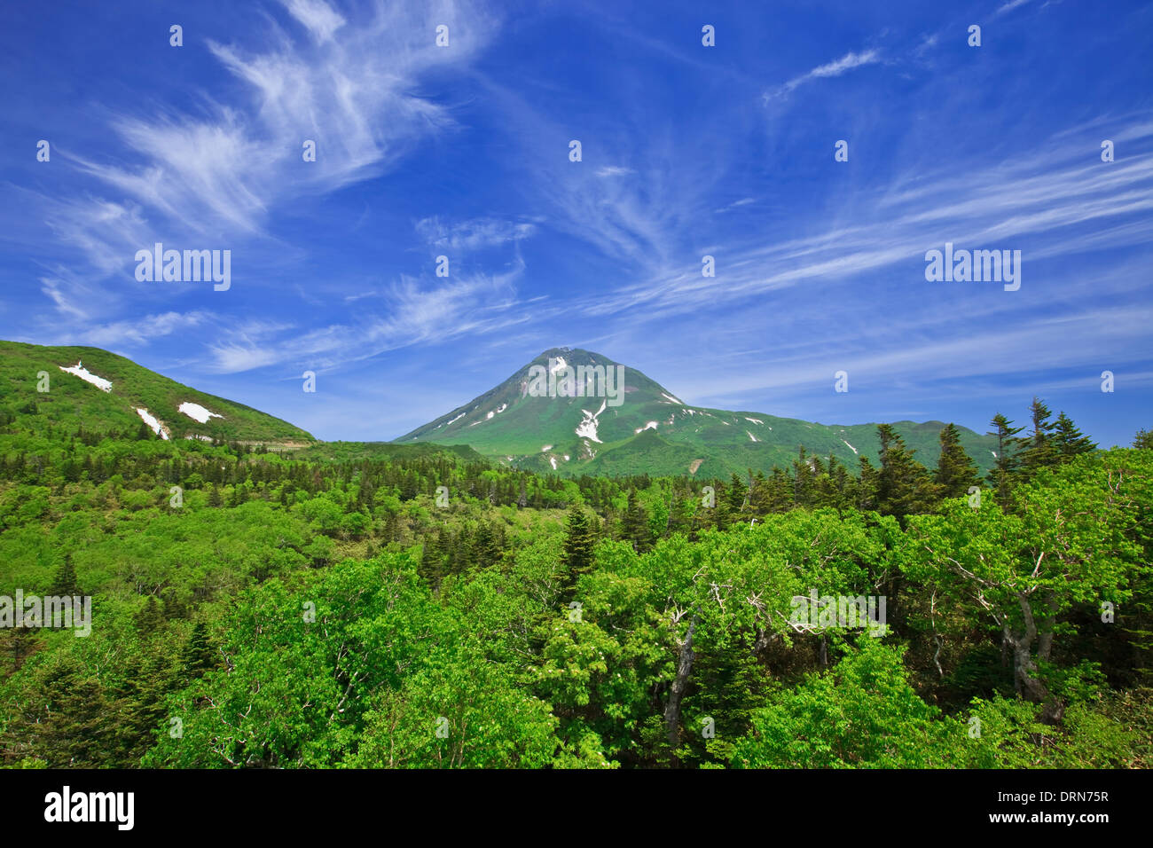Shiretoko national park immagini e fotografie stock ad alta risoluzione ...