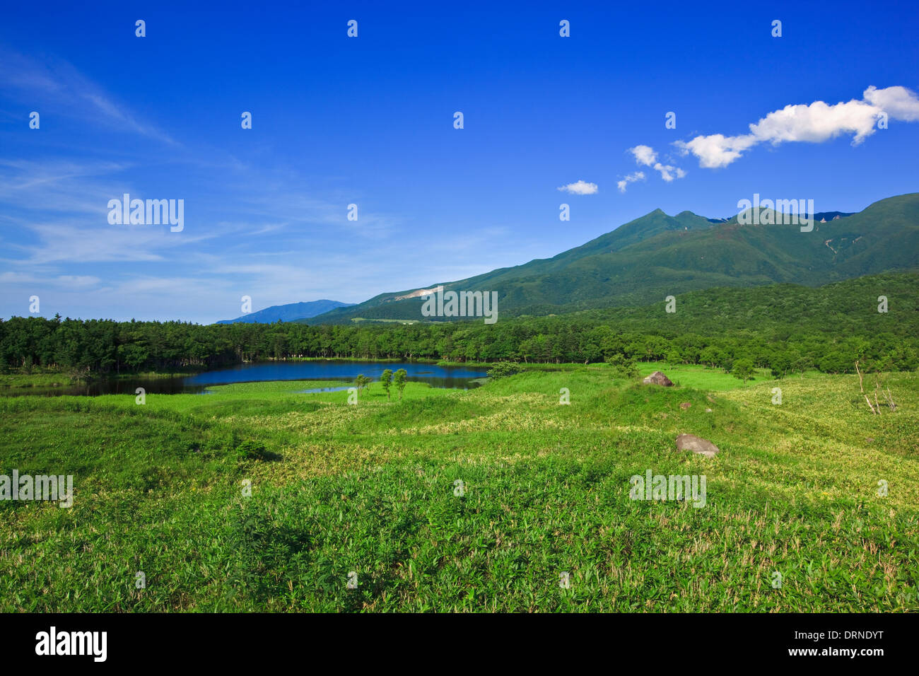 Shiretoko national immagini e fotografie stock ad alta risoluzione - Alamy