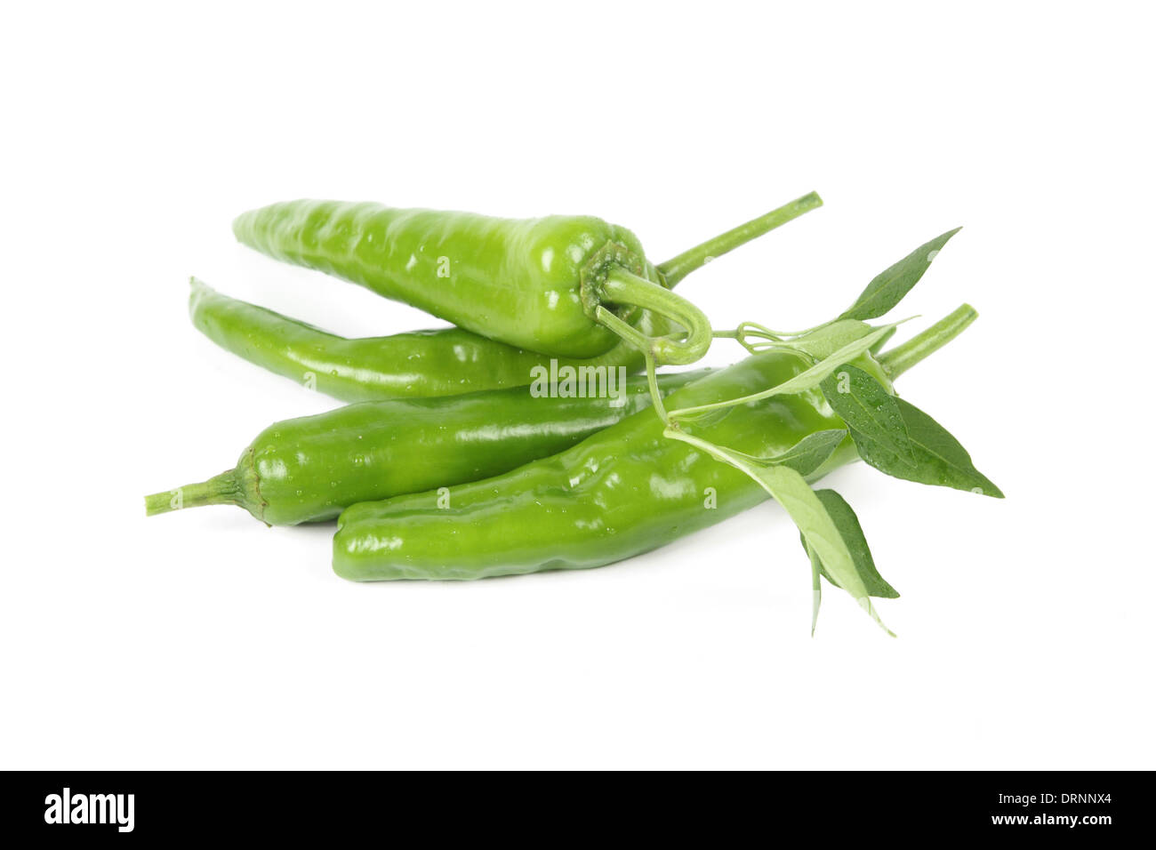 Peperone verde immagini e fotografie stock ad alta risoluzione - Alamy