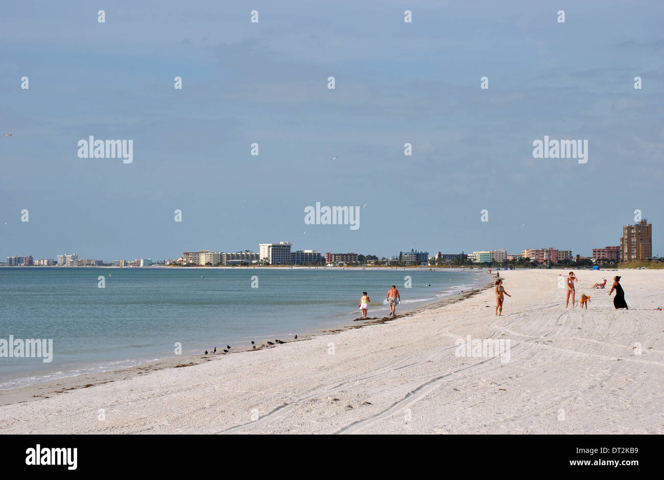 Madeira beach immagini e fotografie stock ad alta risoluzione - Alamy