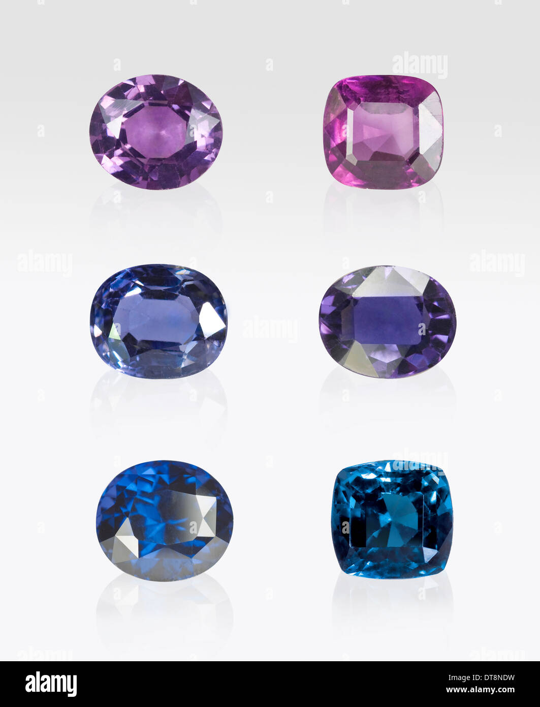 Spinello viola immagini e fotografie stock ad alta risoluzione - Alamy