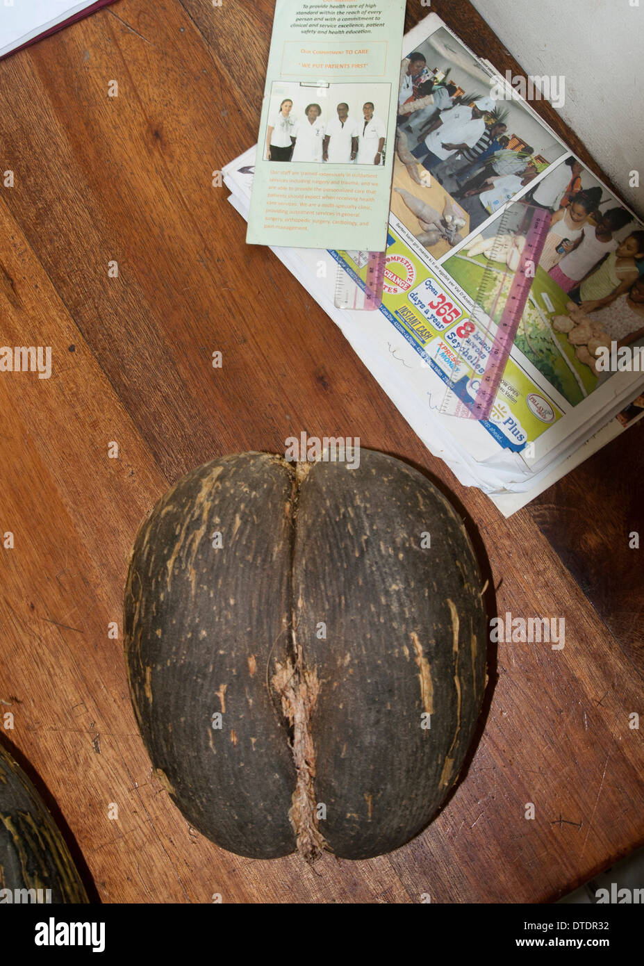 Coco de mer nut lodoicea maldivica immagini e fotografie stock ad alta ...