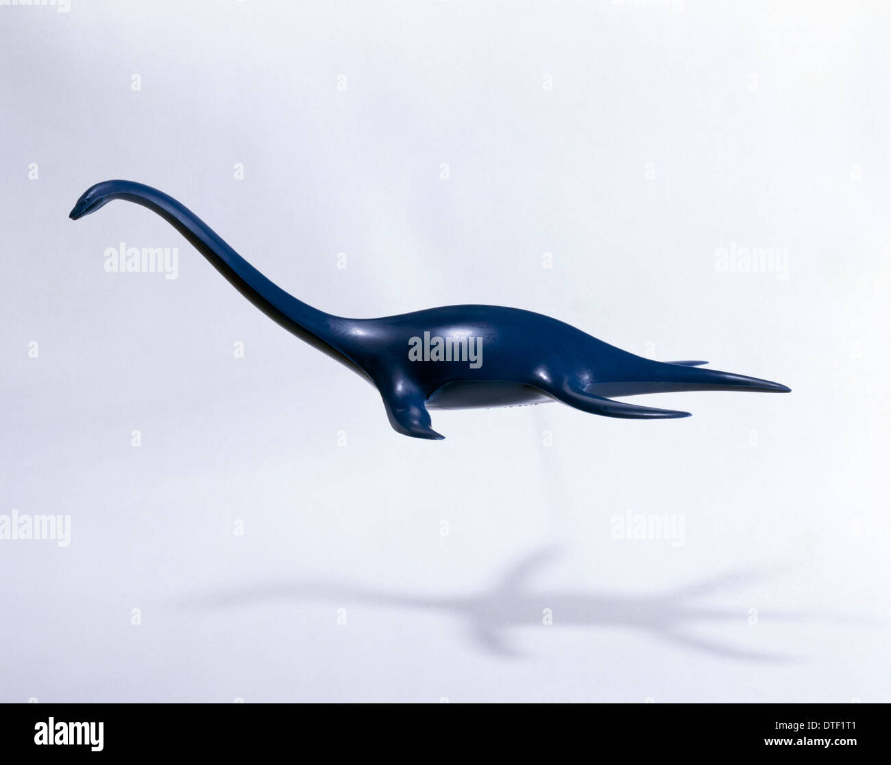 Grande plesiosauro immagini e fotografie stock ad alta risoluzione - Alamy