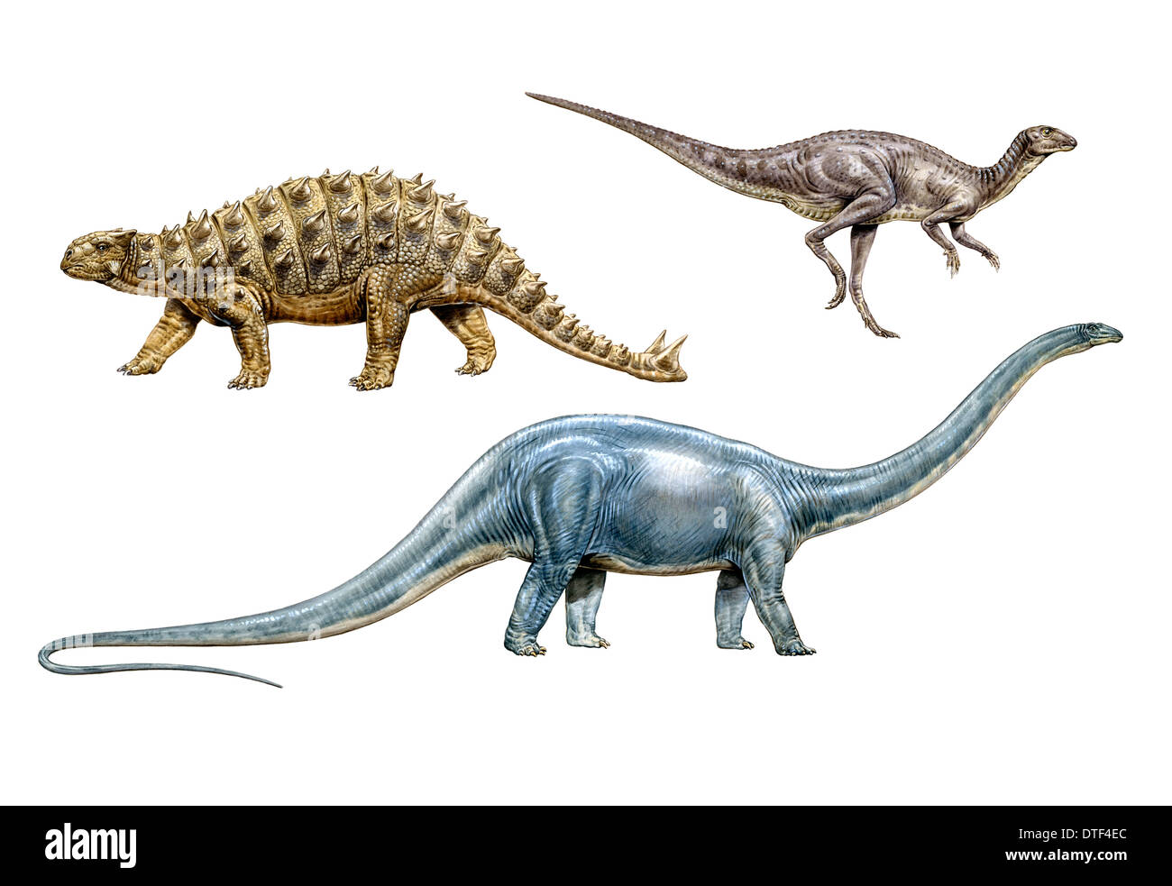 Dinosauro Sauropodomorfo Precoce Immagini e Fotos Stock - Alamy