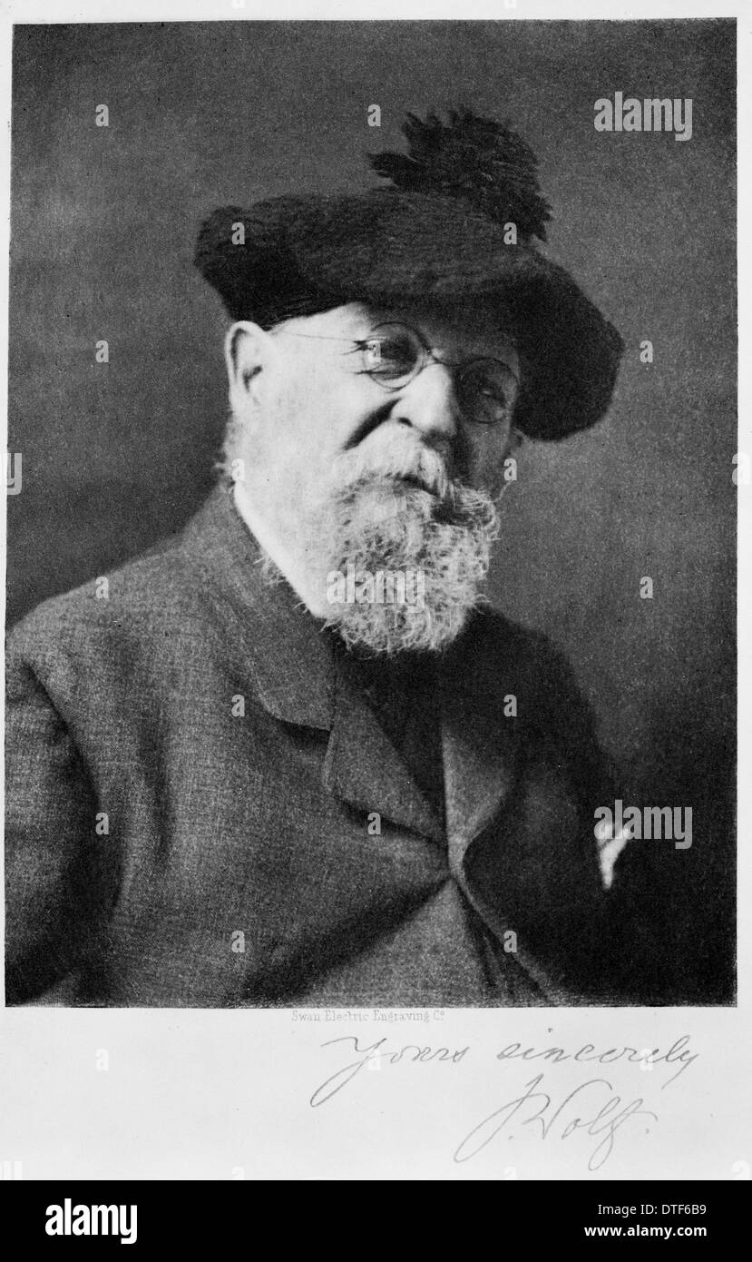 Joseph wolf immagini e fotografie stock ad alta risoluzione - Alamy