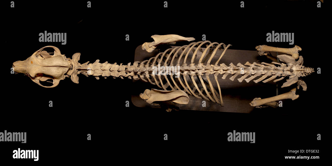 Chiamato anche immagini e fotografie stock ad alta risoluzione - Alamy