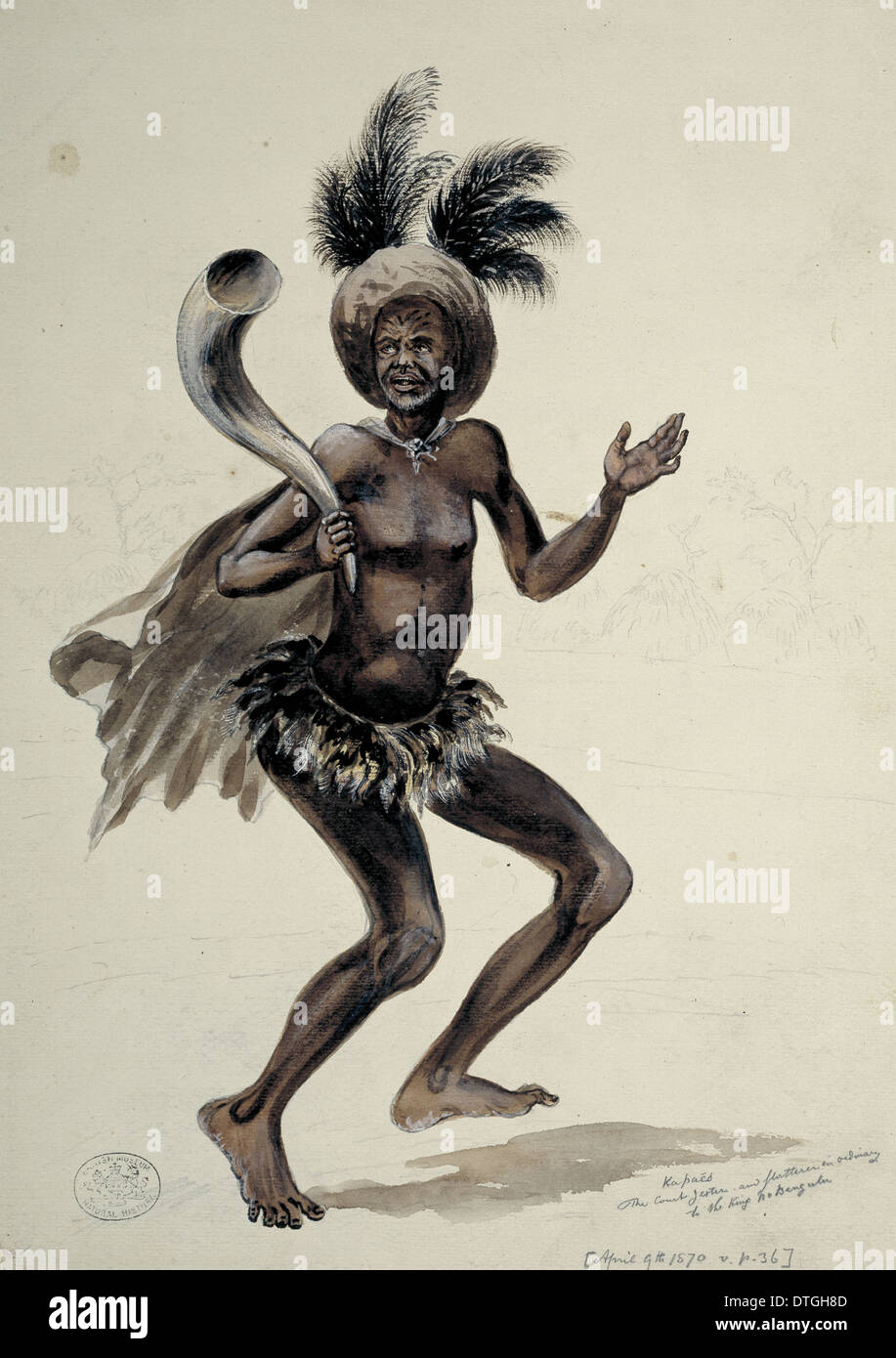 Il buffone di corte immagini e fotografie stock ad alta risoluzione - Alamy