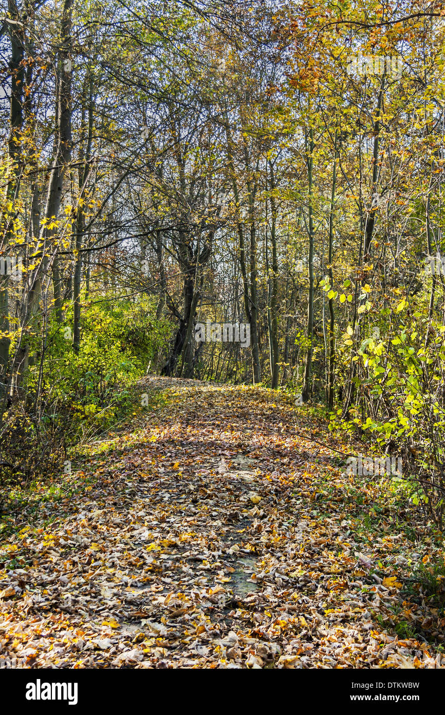 Vedi im herbst immagini e fotografie stock ad alta risoluzione - Alamy
