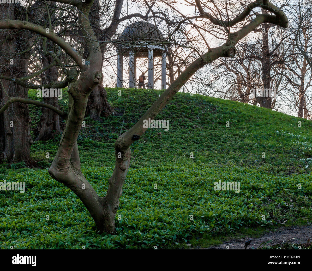 Otto colonne toscane immagini e fotografie stock ad alta risoluzione ...