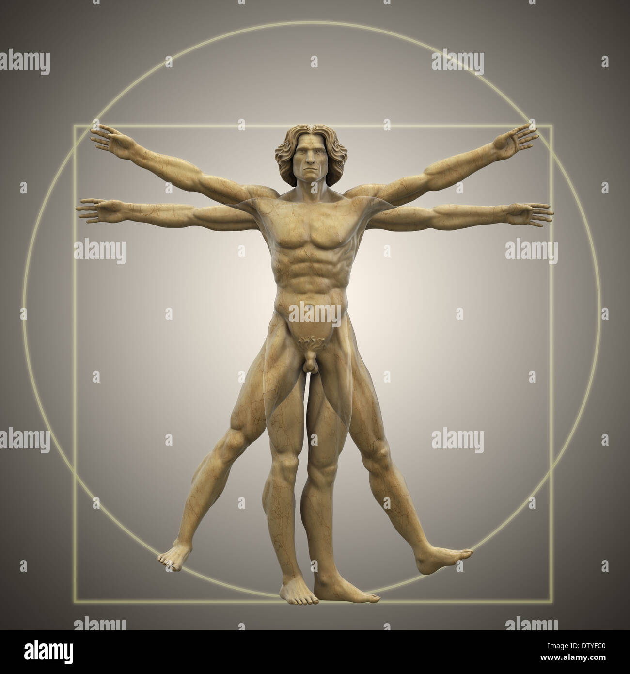 Anatomia uomo vitruviano immagini e fotografie stock ad alta risoluzione - Alamy