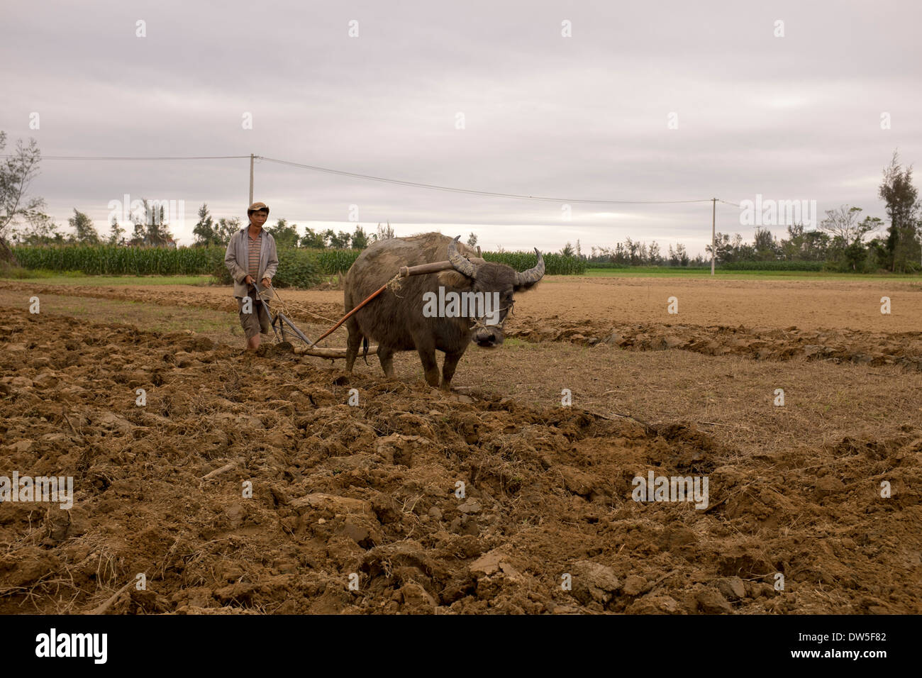 Contadino che ara la terra immagini e fotografie stock ad alta ...