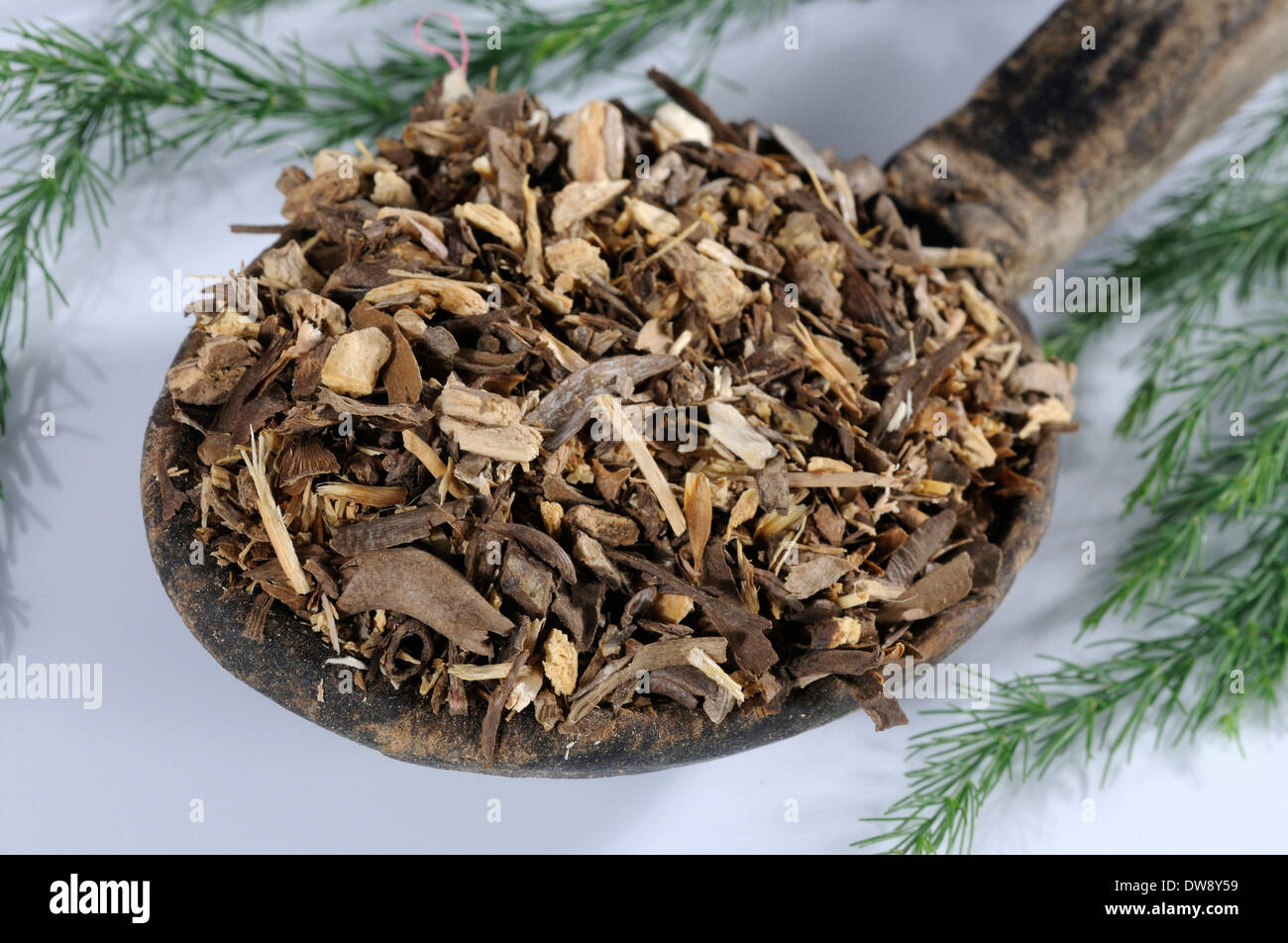 Radice di asparagi cinesi immagini e fotografie stock ad alta ...