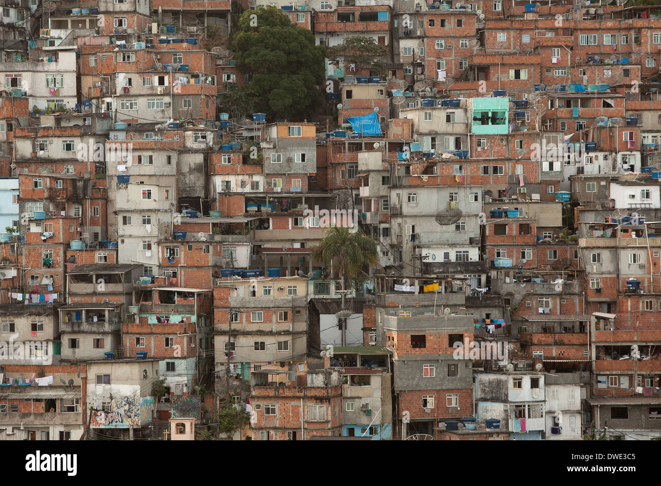 Favela brasile affollata povera immagini e fotografie stock ad alta ...