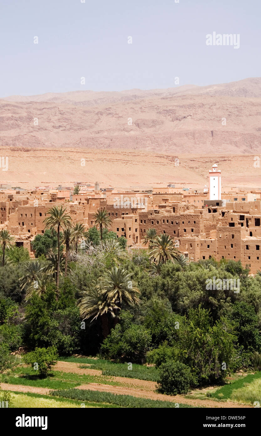 Il Marocco; oasi. TINGHIR città e di palme da datteri nella valle di TINGHIR Foto stock - Alamy