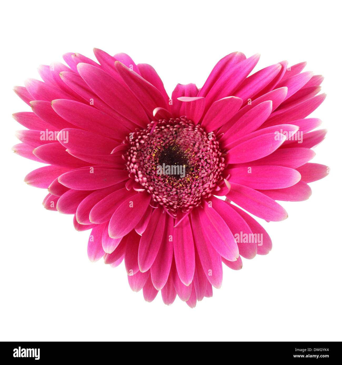 Cuore fiore simbolo di amore immagini e fotografie stock ad alta ...