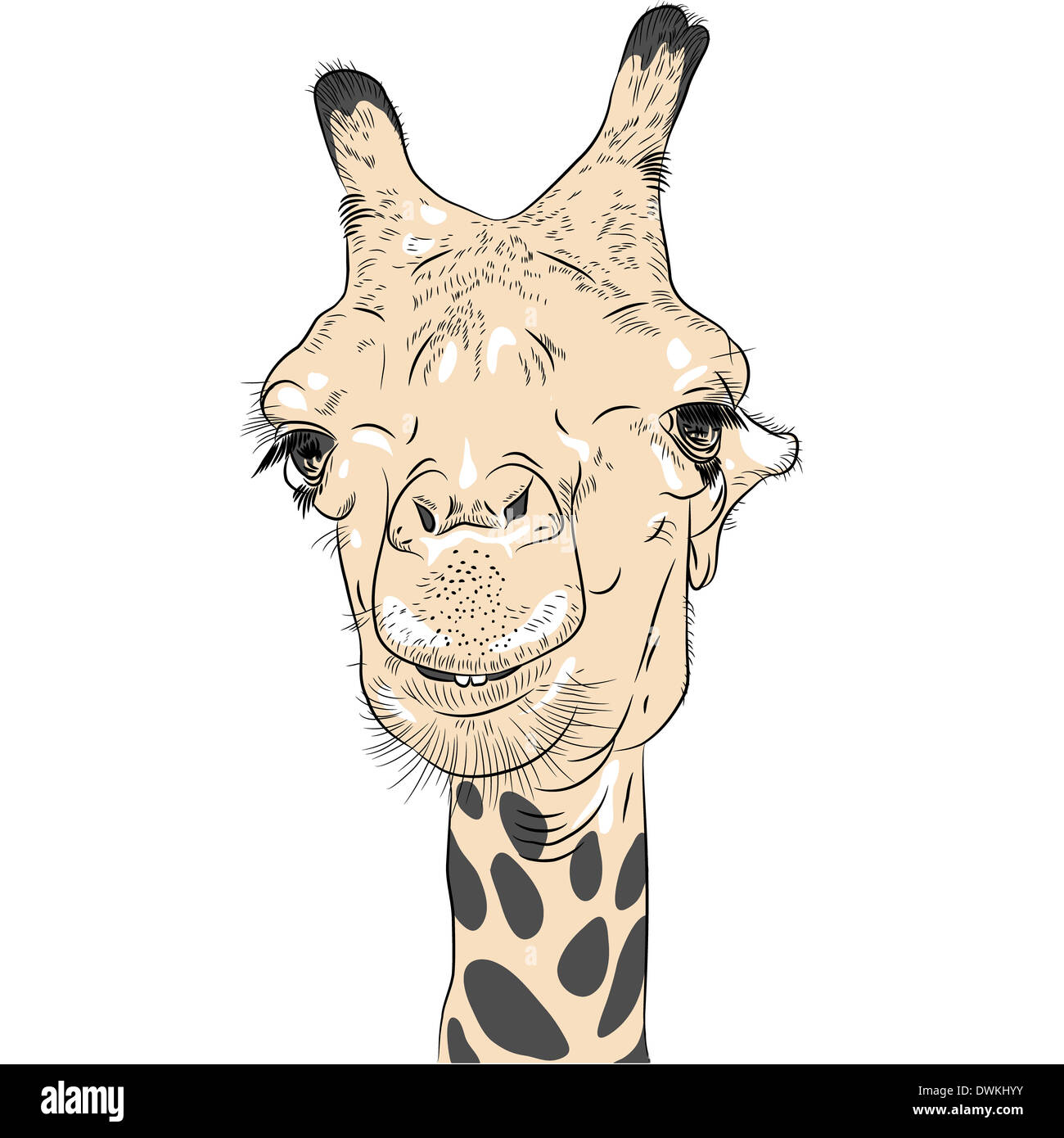 Funny giraffe cartoon immagini e fotografie stock ad alta risoluzione ...