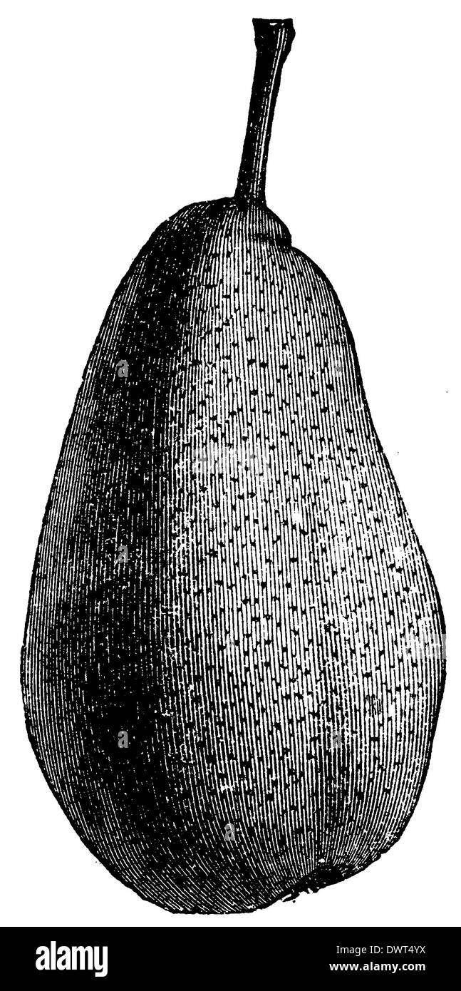 Pere de famille immagini e fotografie stock ad alta risoluzione - Alamy