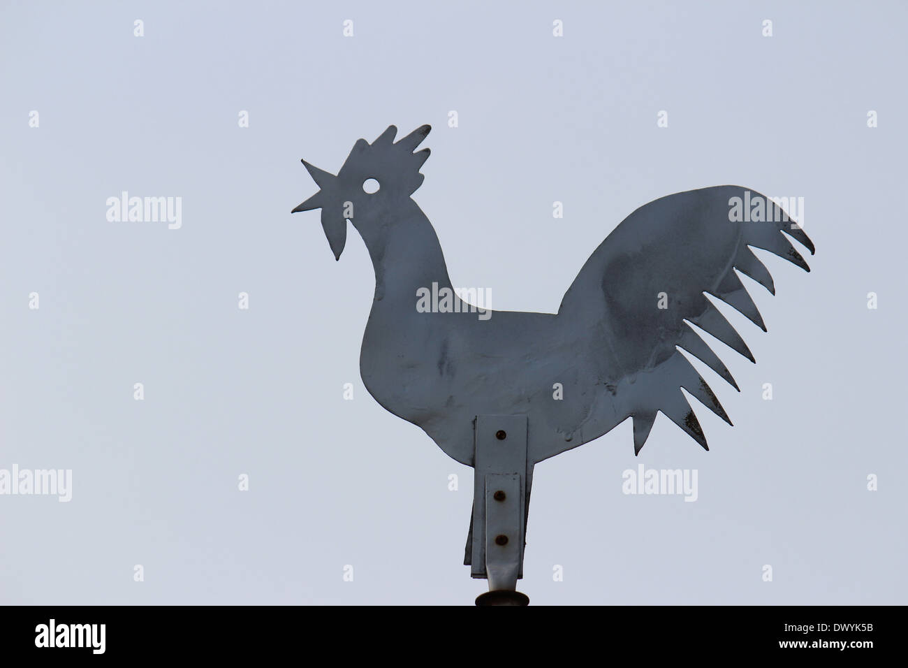 Banderuola del galletto immagini e fotografie stock ad alta risoluzione ...