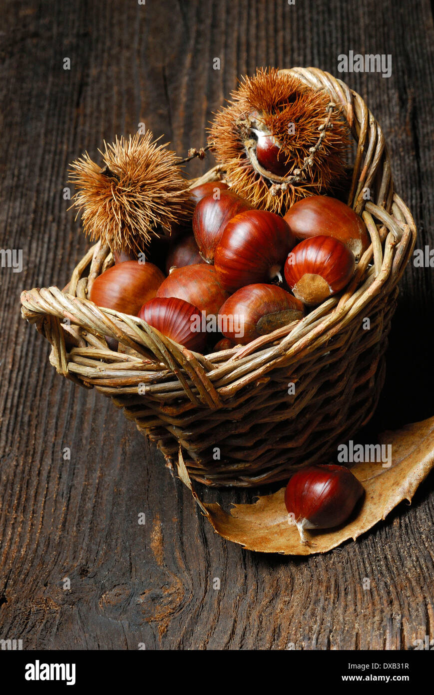 Colore castagna immagini e fotografie stock ad alta risoluzione - Alamy