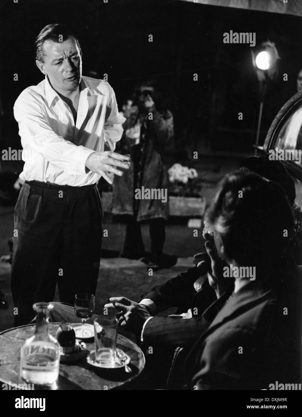 Mosca ragno immagini e fotografie stock ad alta risoluzione - Alamy