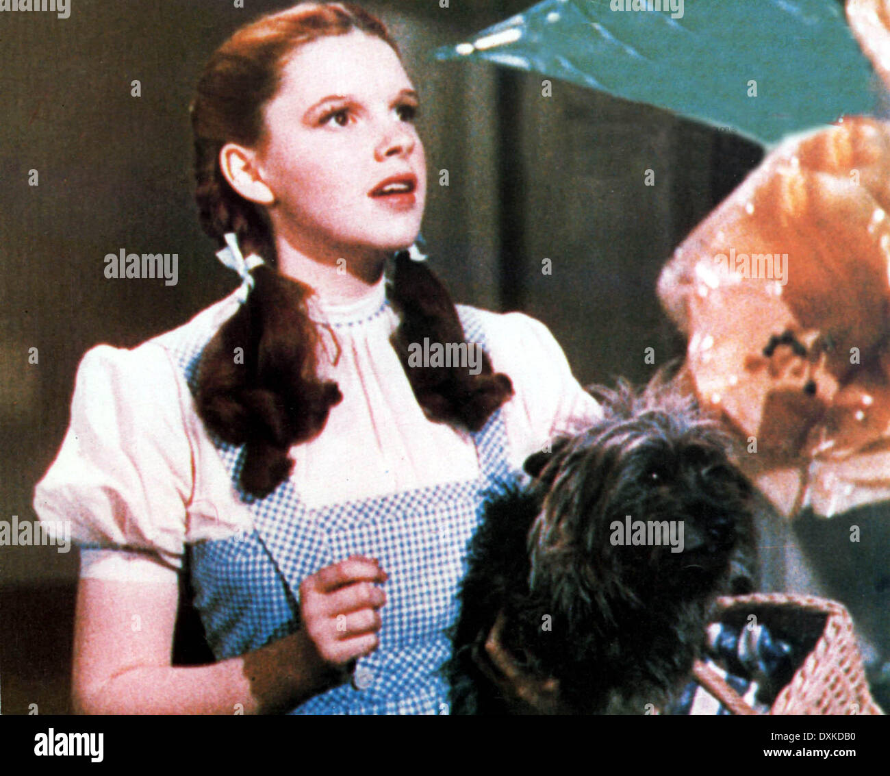 Toto wizard oz 1939 immagini e fotografie stock ad alta risoluzione - Alamy