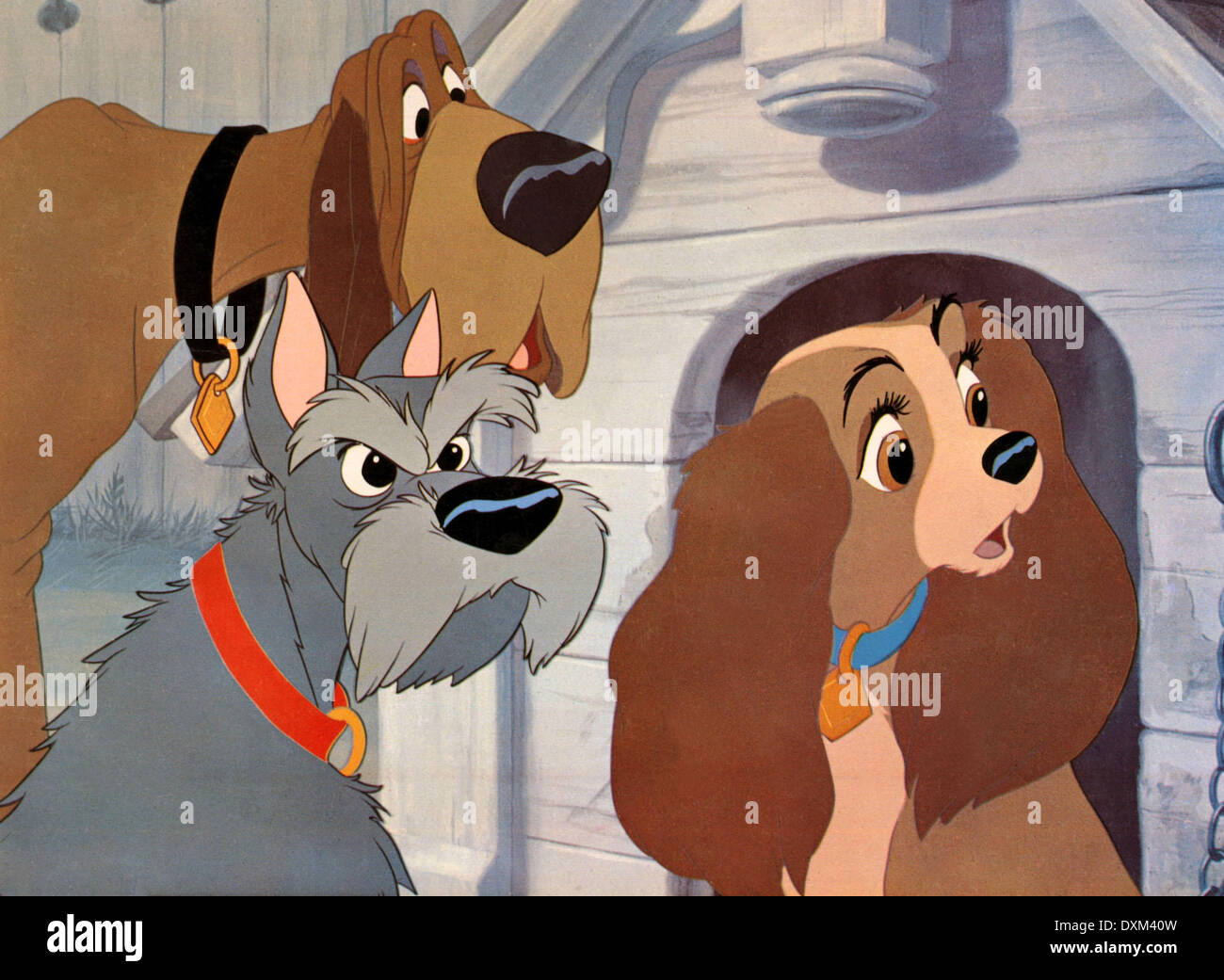 Signora Dei Cartoni Animati Immagini e Fotos Stock - Alamy