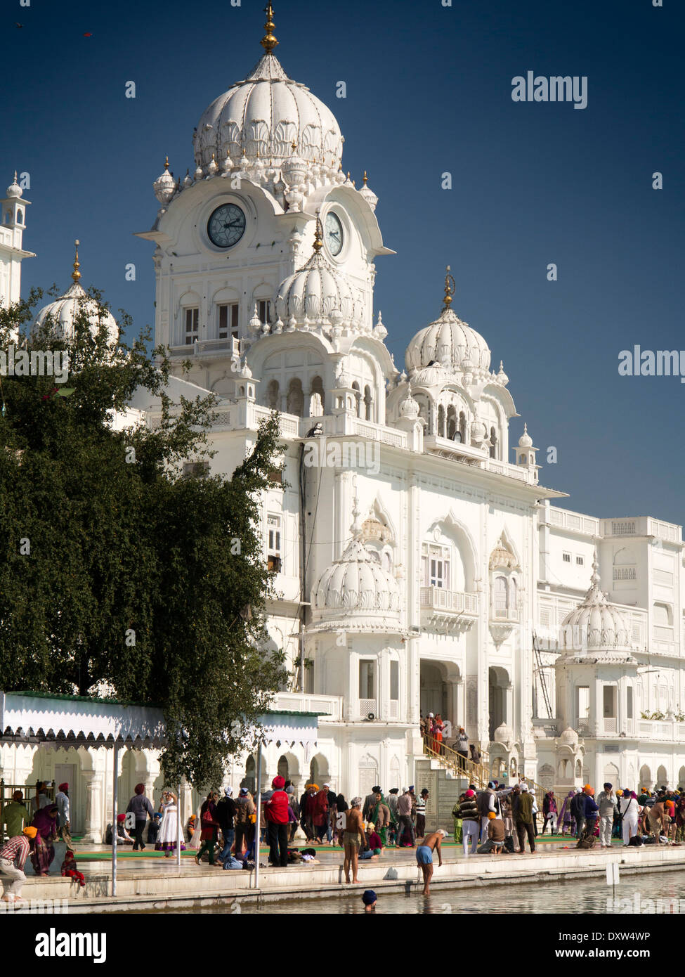 Darbar sahib inside the golden temple immagini e fotografie stock ad ...