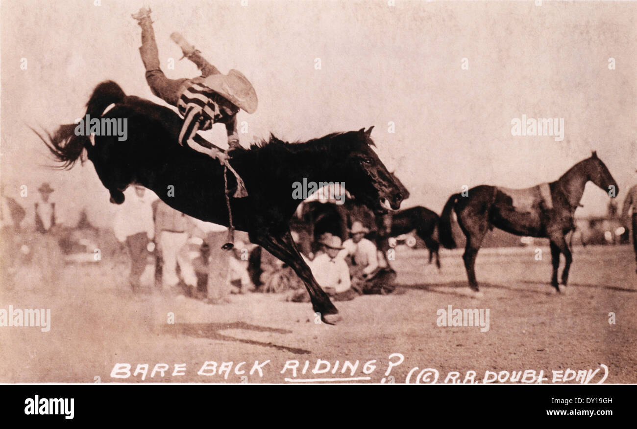 Equilibrio del cavallo immagini e fotografie stock ad alta risoluzione ...