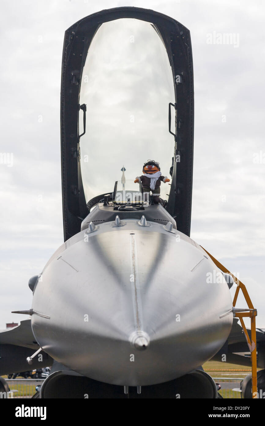 Falco combattente lockheed martin f 16 immagini e fotografie stock ad ...
