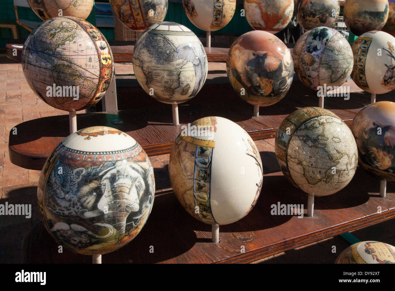 Uova di struzzo immagini e fotografie stock ad alta risoluzione - Alamy
