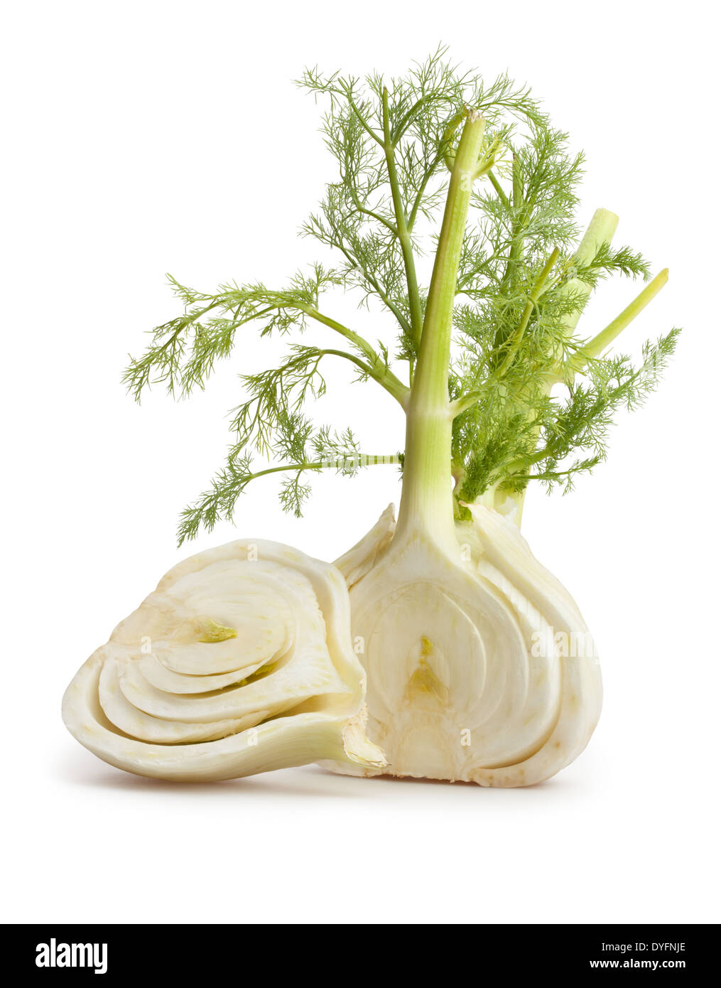 Finocchio crudo immagini e fotografie stock ad alta risoluzione - Alamy
