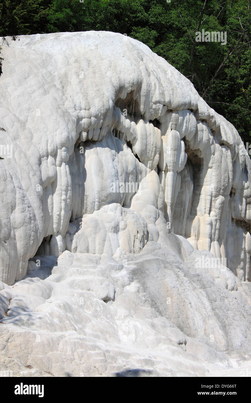 Balena bianca immagini e fotografie stock ad alta risoluzione - Alamy