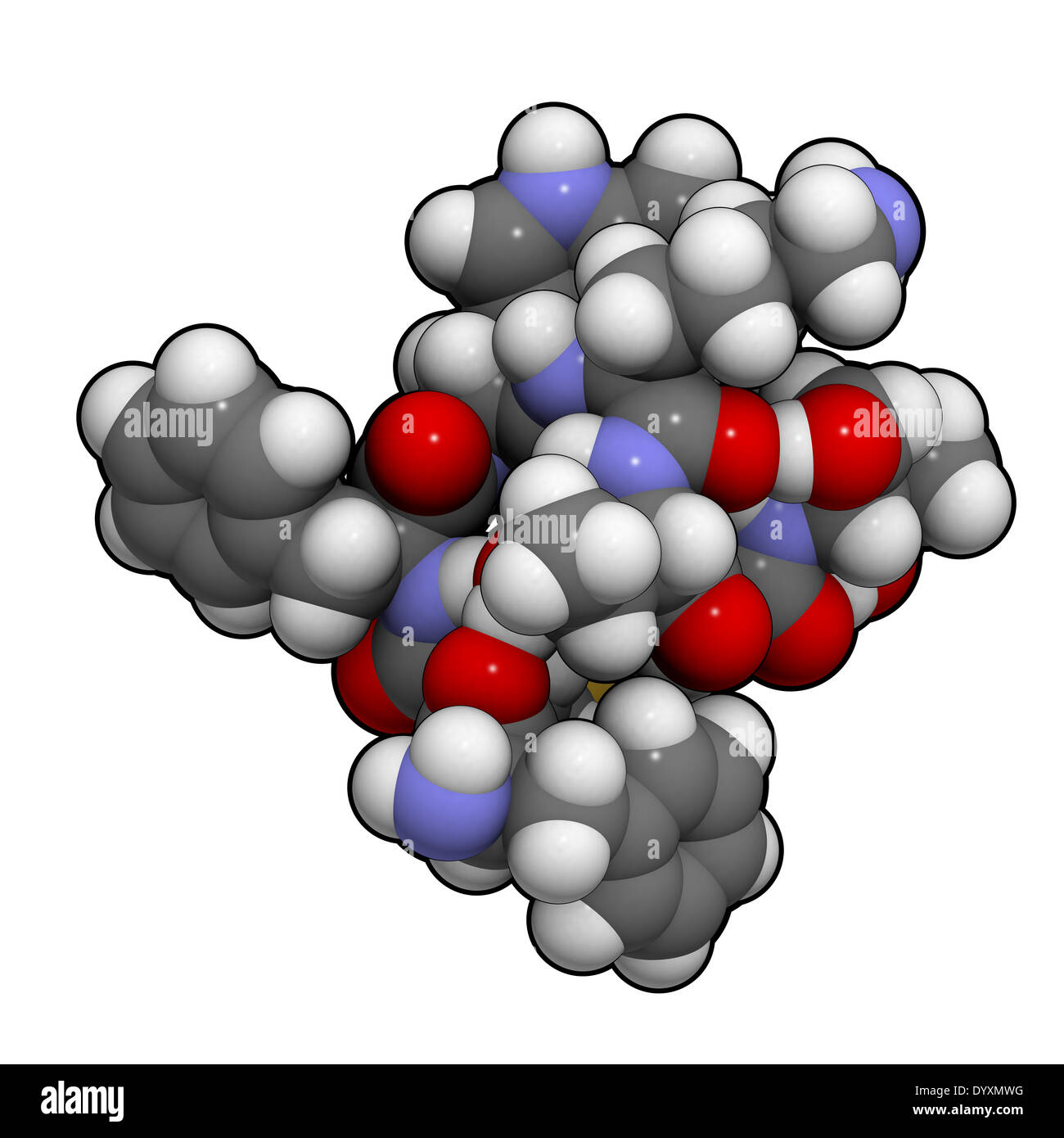 Ormoni peptidici immagini e fotografie stock ad alta risoluzione - Alamy