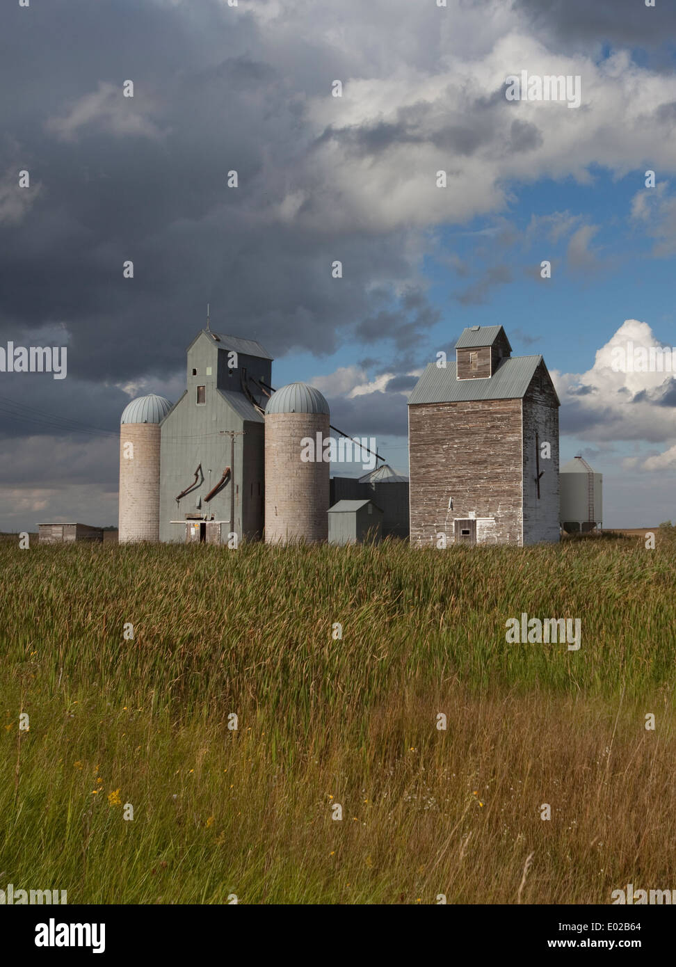 Elevatori di grano di prateria immagini e fotografie stock ad alta ...
