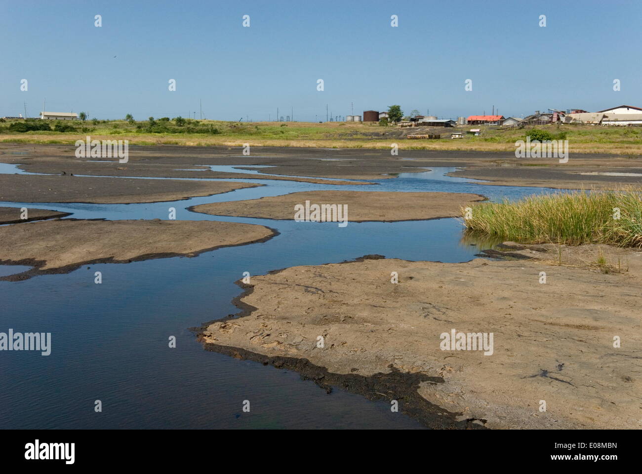 La Brea Pitch lago, lago naturale di catrame salgono dal basso con ...