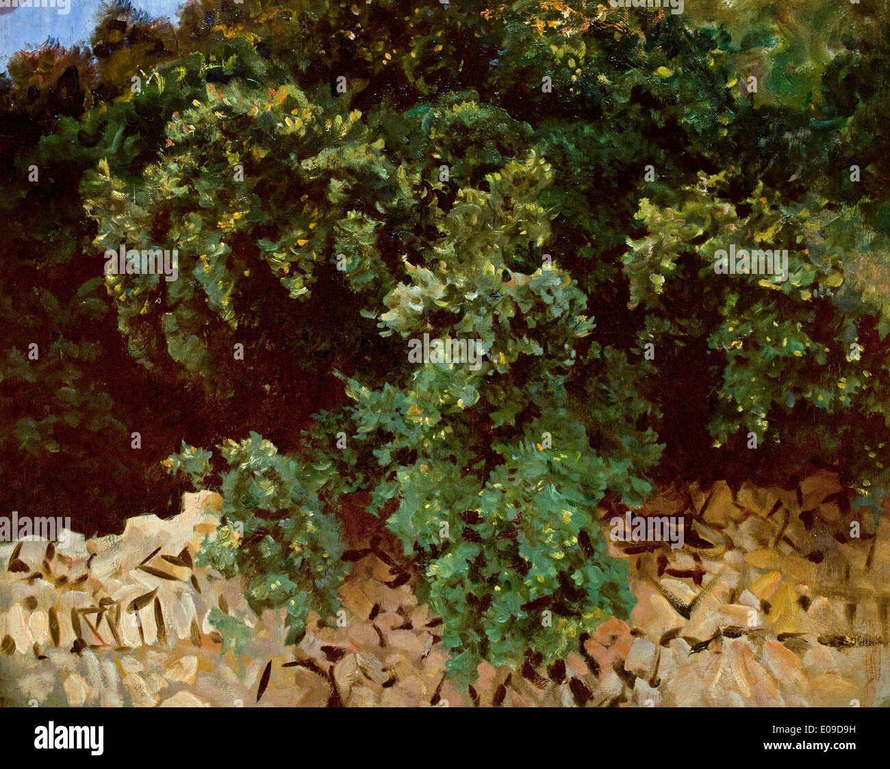 John singer sargent 1856 1925 pittore americano immagini e fotografie ...