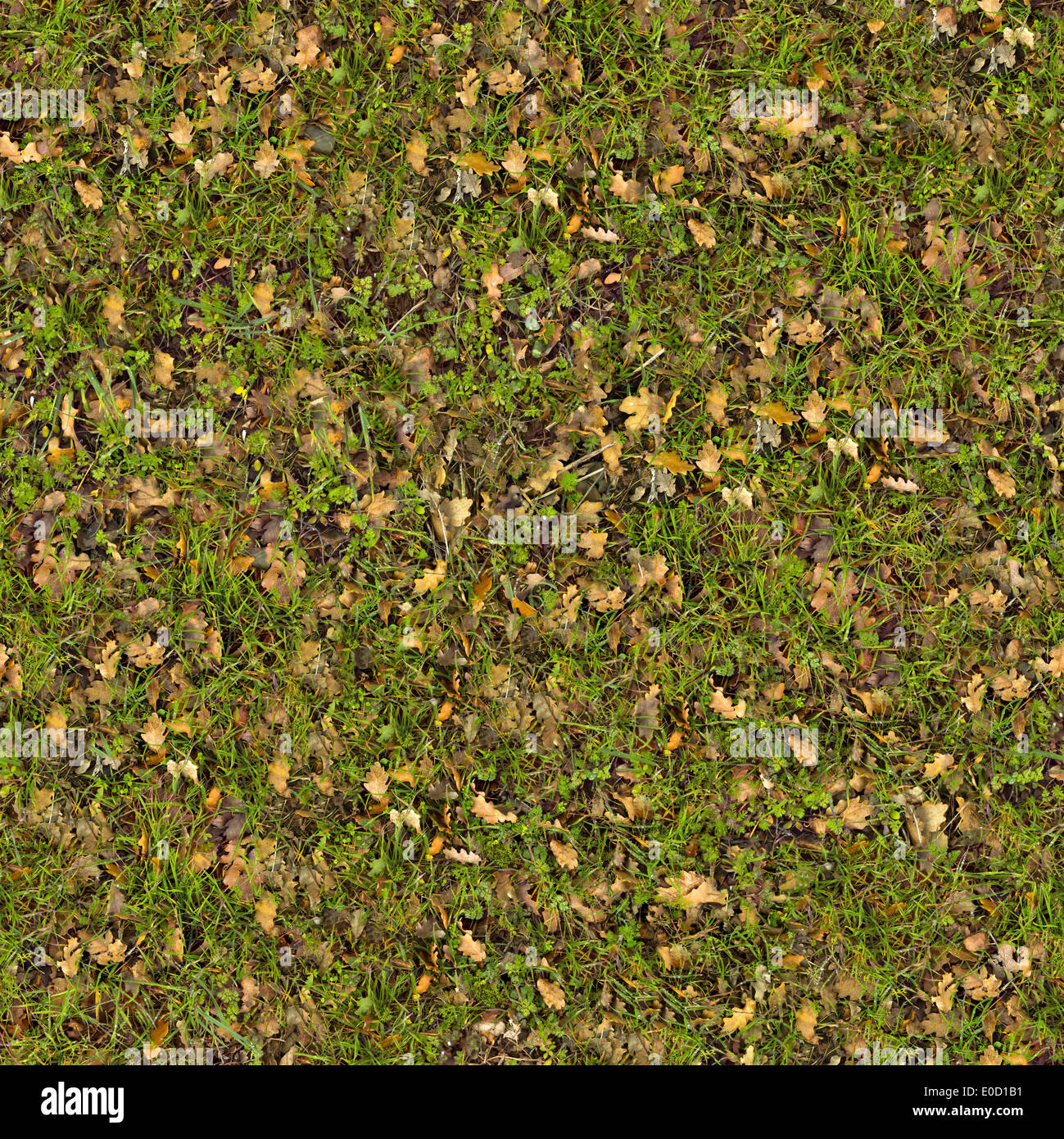 Seamless texture brown soil immagini e fotografie stock ad alta ...