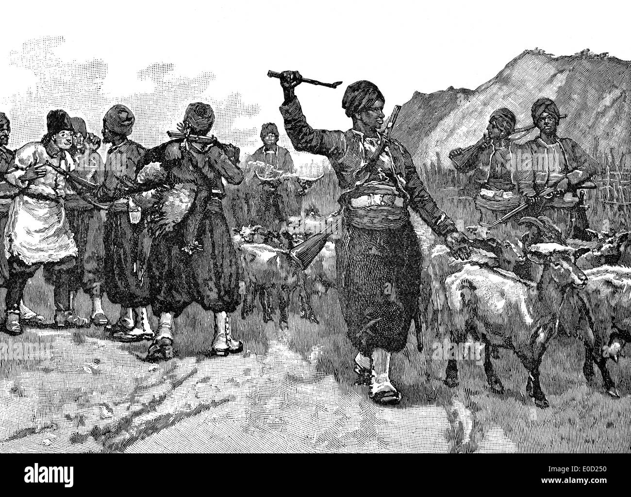 Guerra di crimea 1853 1856 sardegna immagini e fotografie stock ad alta risoluzione - Alamy