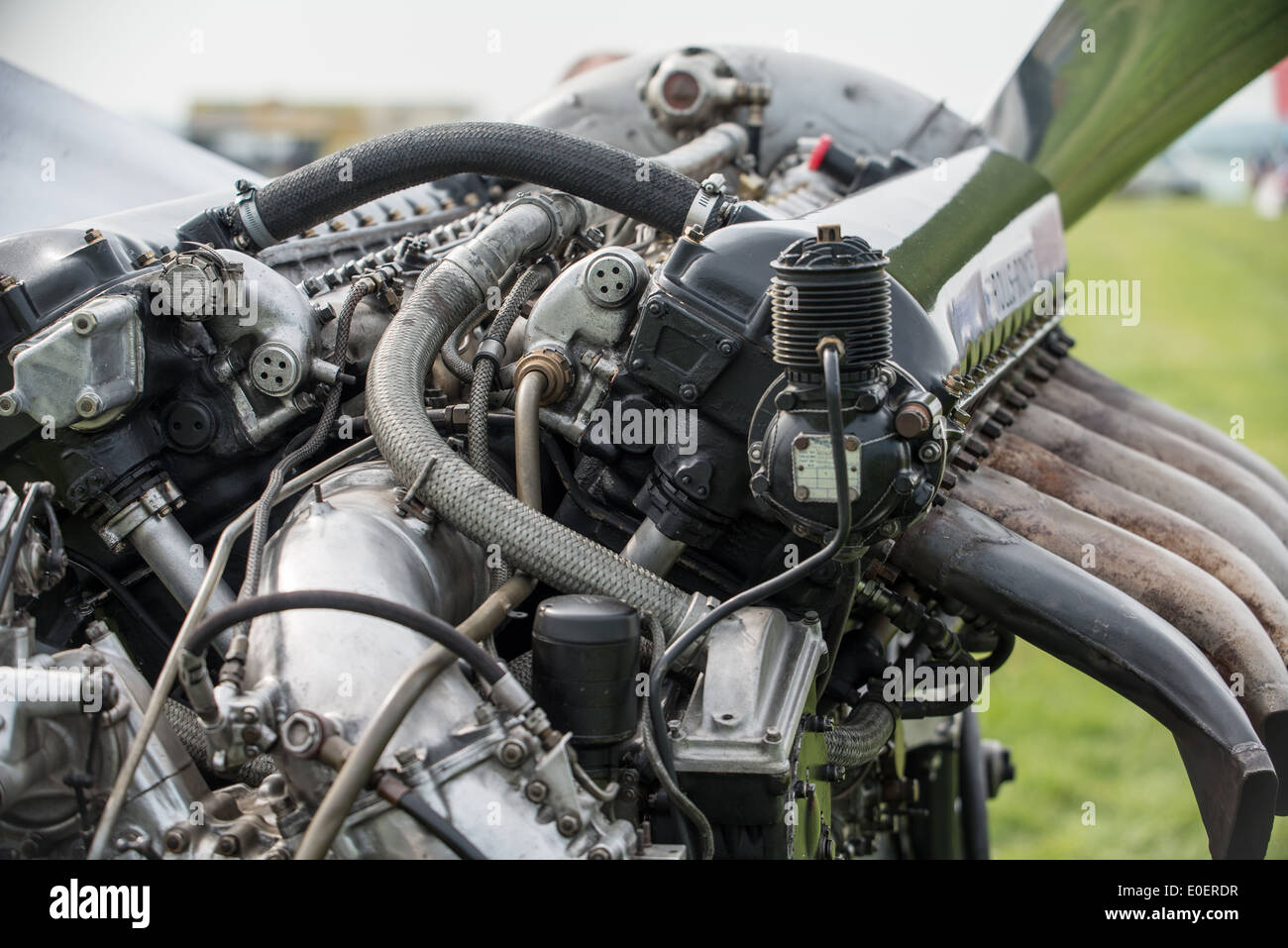 Motore aeronautico merlin v12 immagini e fotografie stock ad alta ...