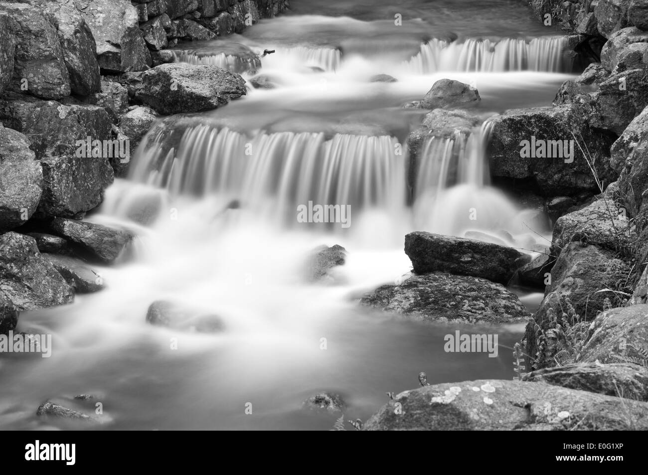 Ruscello di montagna fresco immagini e fotografie stock ad alta ...
