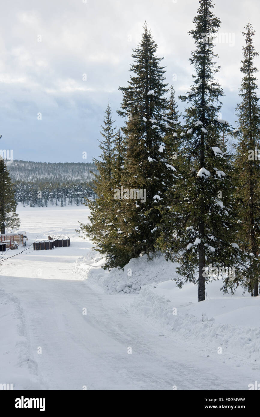 Torne river immagini e fotografie stock ad alta risoluzione - Alamy