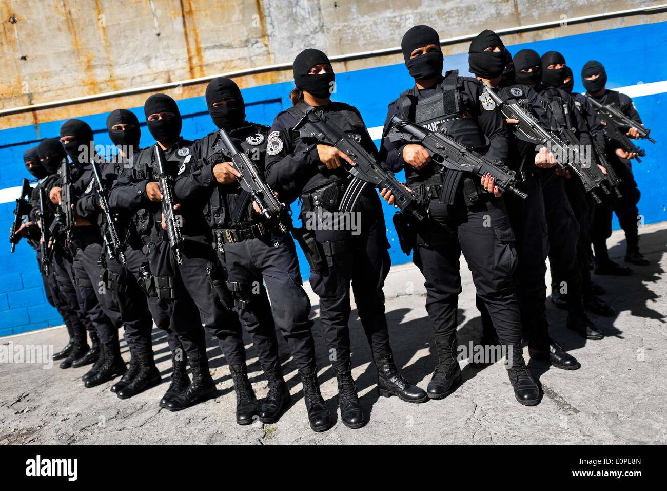 Cartello Verde Della Gang Una Commissione In Ogni Diocesi Della