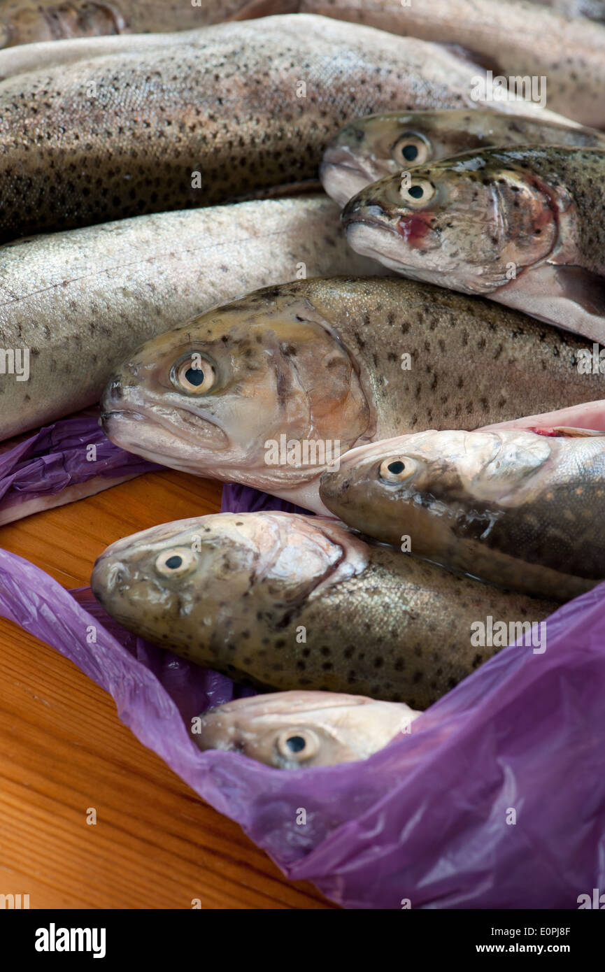 Fish pile immagini e fotografie stock ad alta risoluzione - Alamy