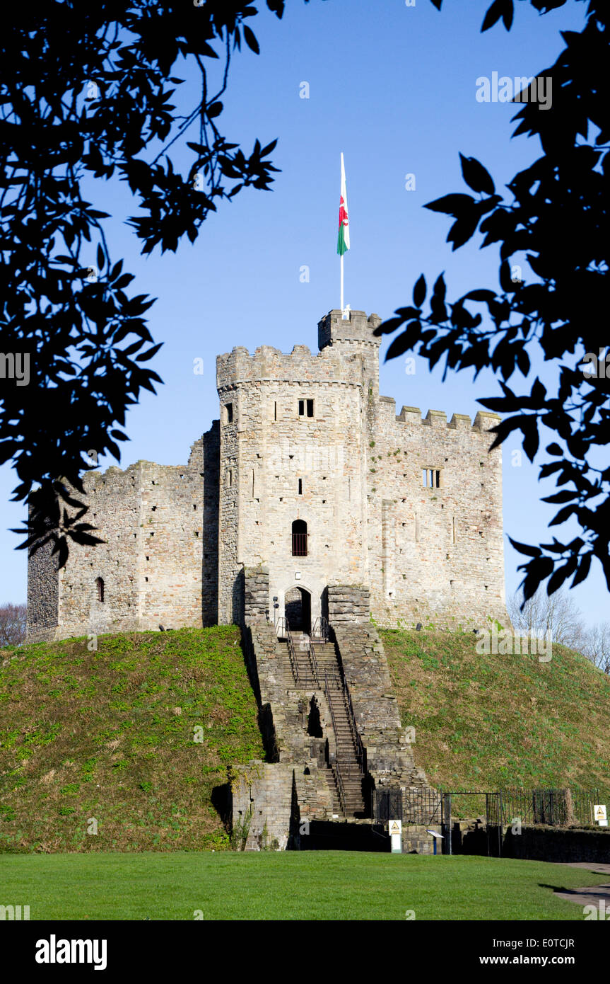 Mastio del castello normanno medievale immagini e fotografie stock ad ...