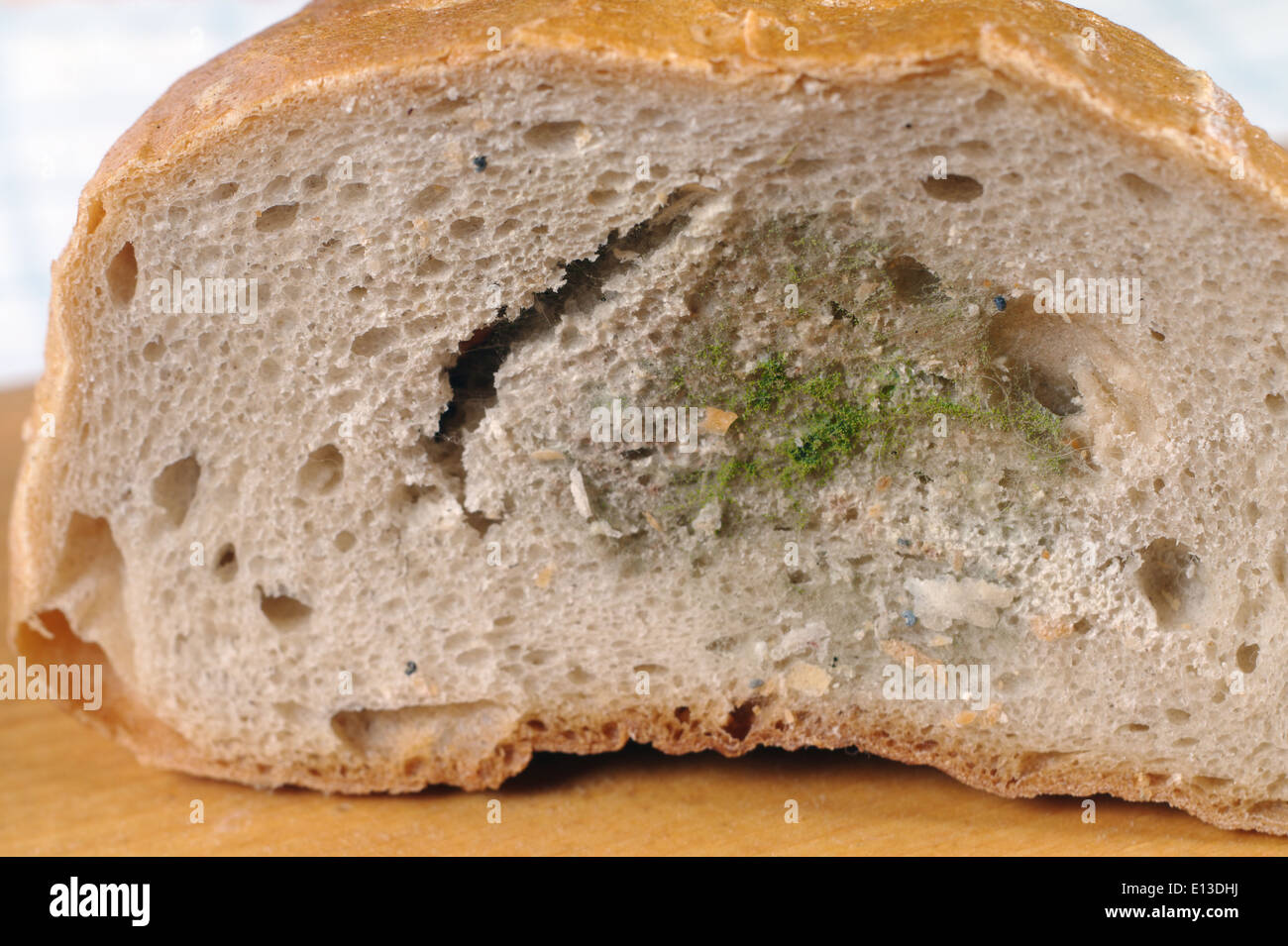 Muffa del pane immagini e fotografie stock ad alta risoluzione - Alamy