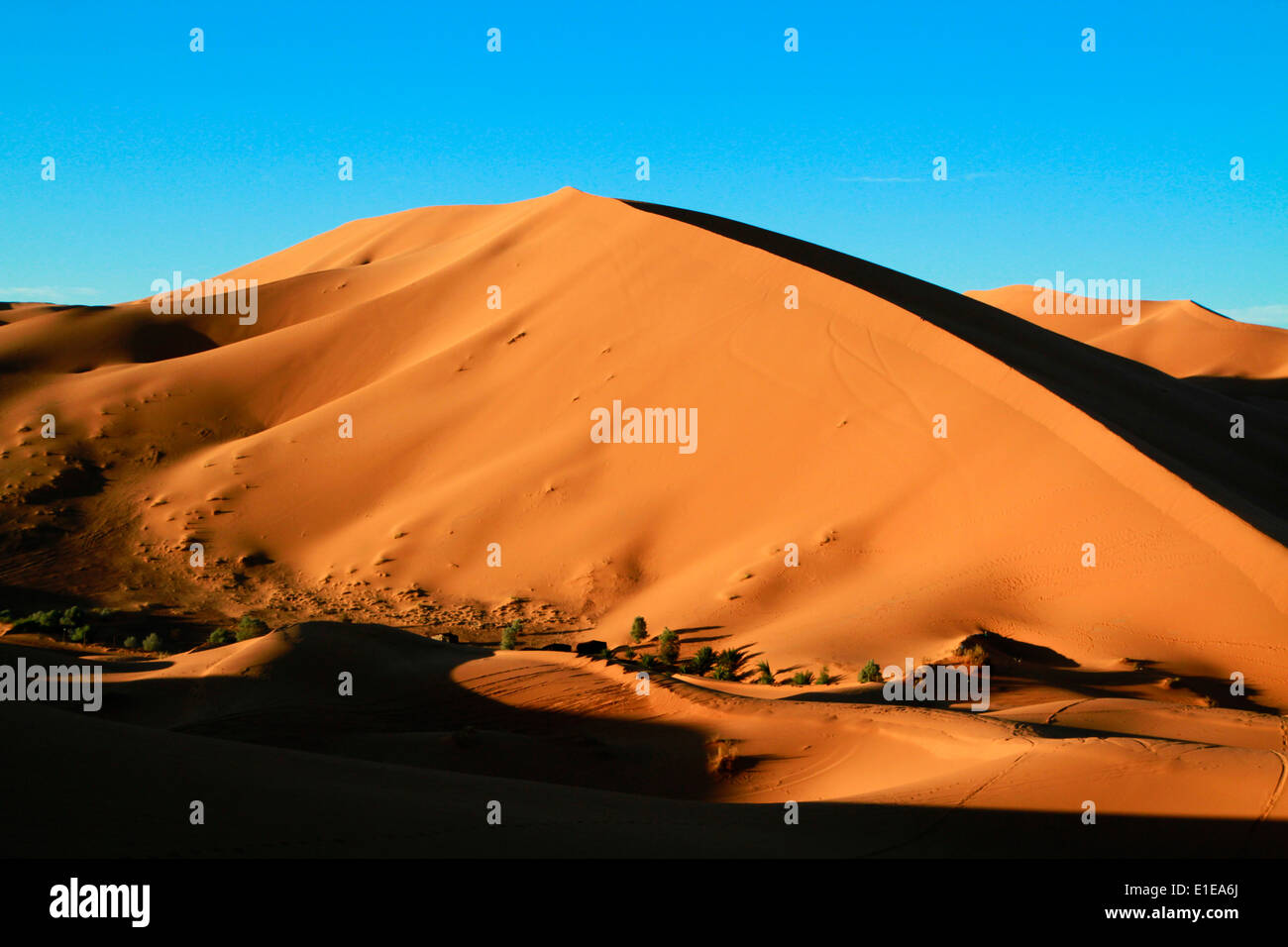 Deserto del sahara immagini e fotografie stock ad alta risoluzione - Alamy