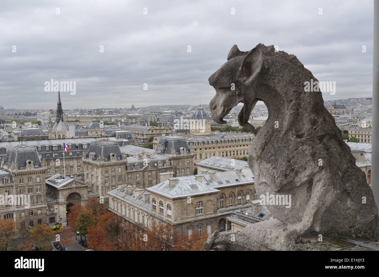 Gargoyle sulla Cattedrale di Notre Dame, Paris, Francia Foto stock - Alamy