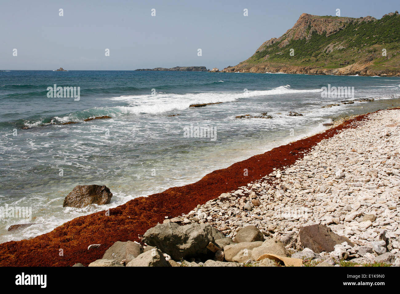 Isola di barth immagini e fotografie stock ad alta risoluzione - Alamy