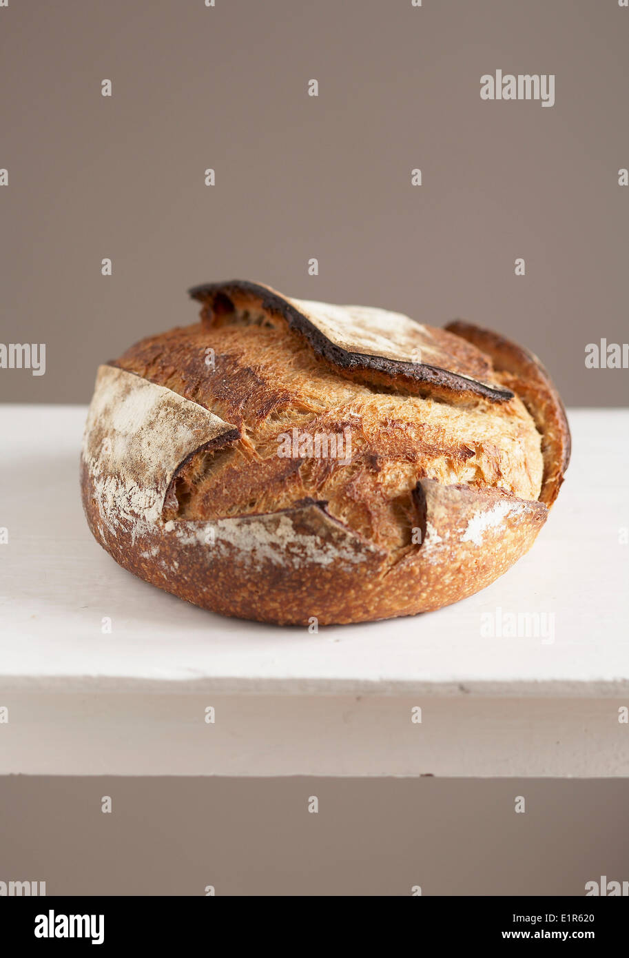 Tondo marrone immagini e fotografie stock ad alta risoluzione - Alamy